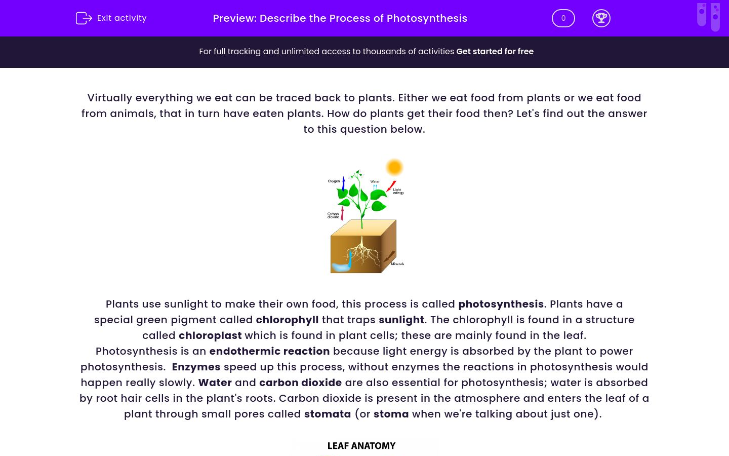 Describe the Process of Photosynthesis Worksheet - EdPlace