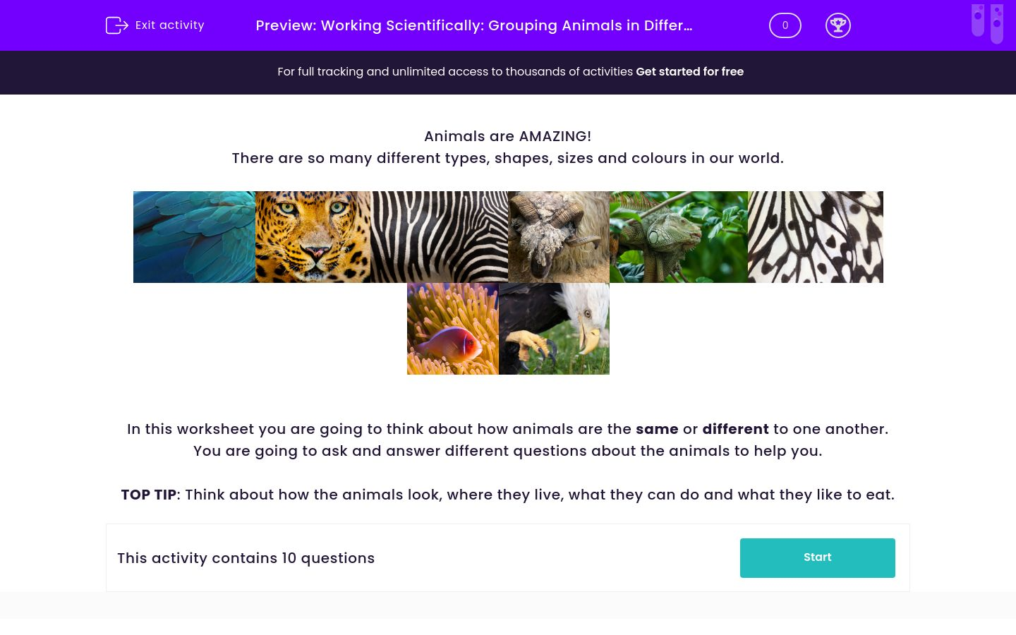 Sort Animals into Groups Worksheet - EdPlace