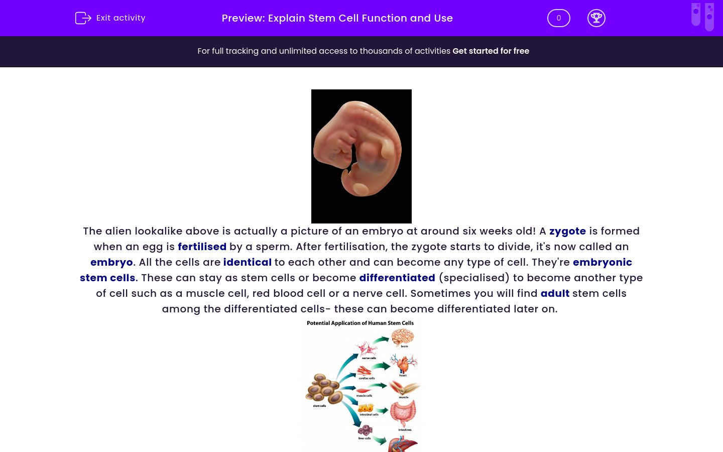 Explain Stem Cell Function and Use Worksheet - EdPlace