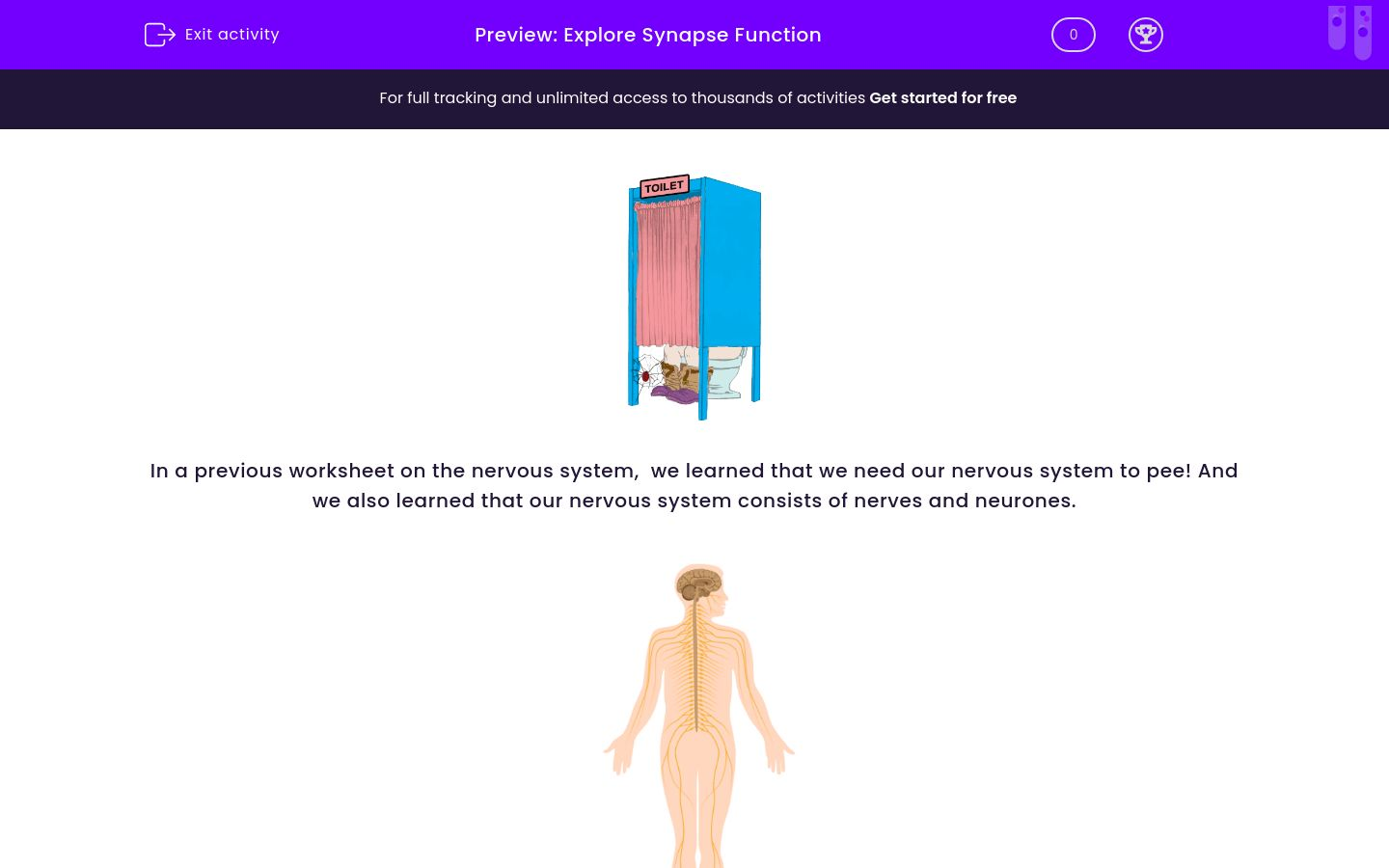 Explore Synapse Function Worksheet - EdPlace