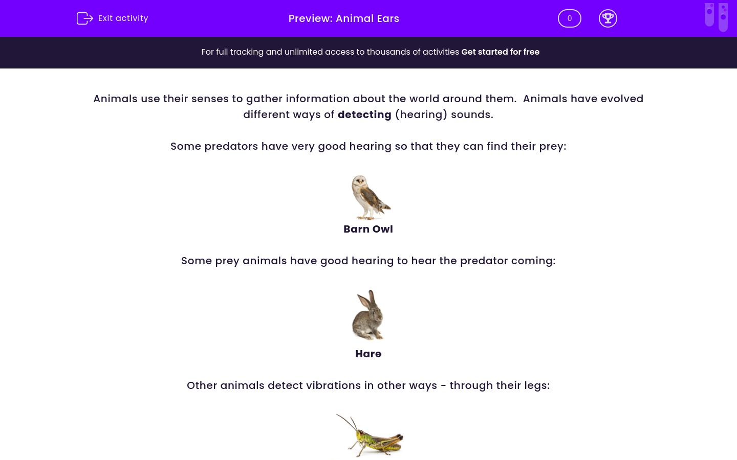Discover Animal Ear Adaptations Worksheet - EdPlace