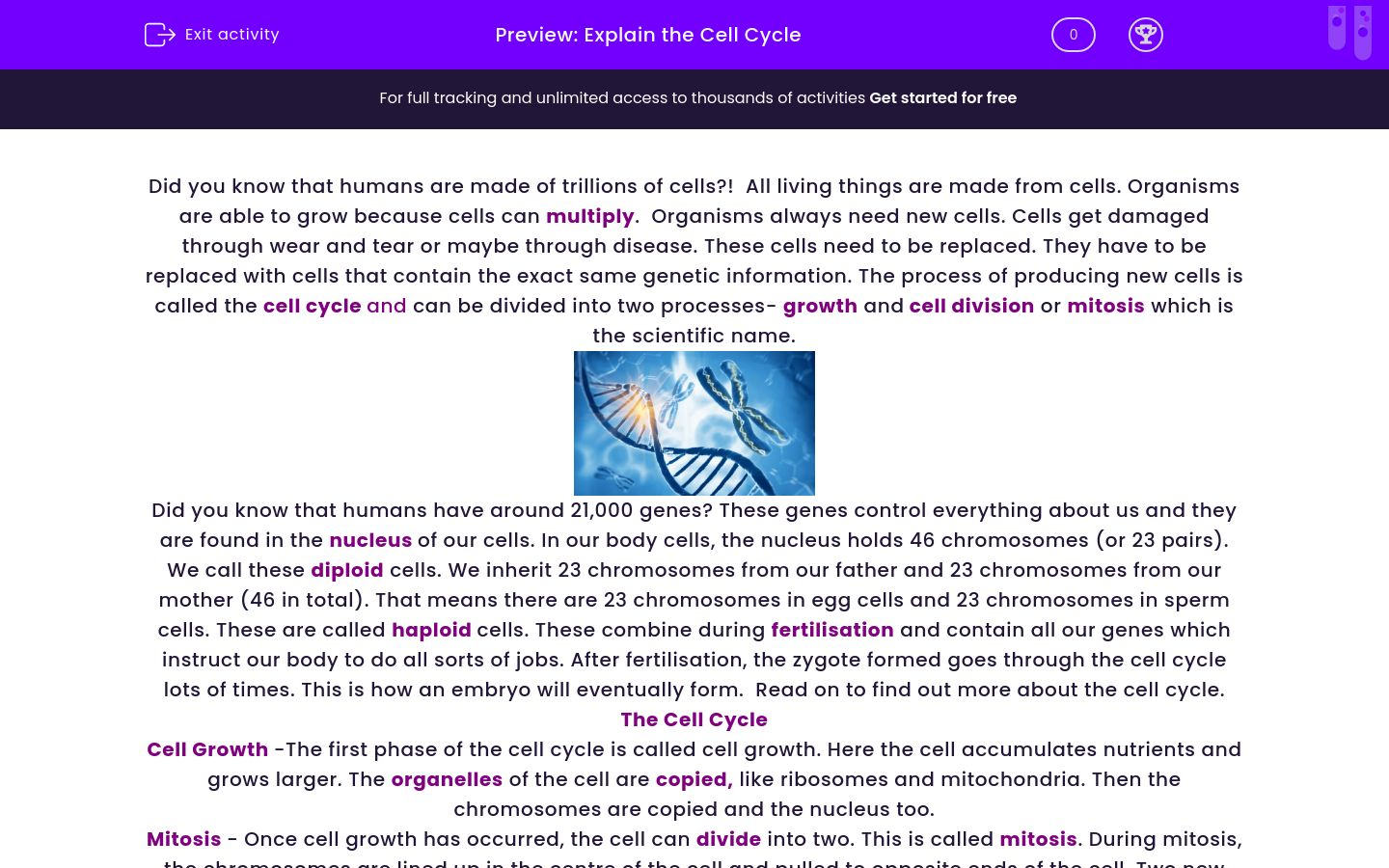 Explain the Cell Cycle Worksheet - EdPlace