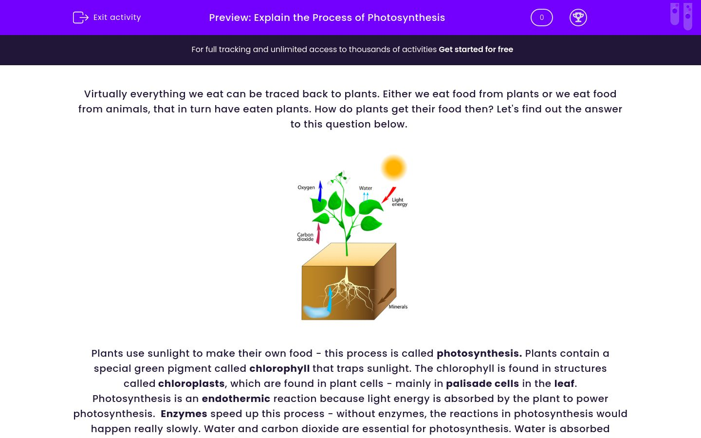 Explain the Process of Photosynthesis Worksheet - EdPlace