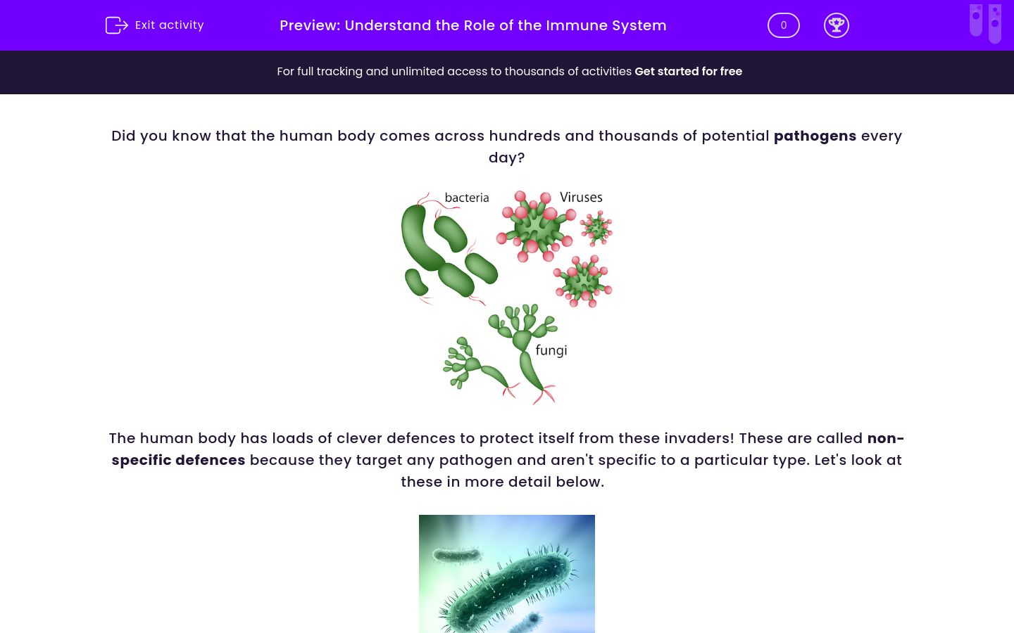 Understand the Role of the Immune System Worksheet - EdPlace