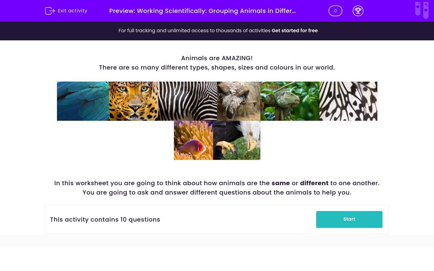 Group Animals in Different Ways Worksheet - EdPlace