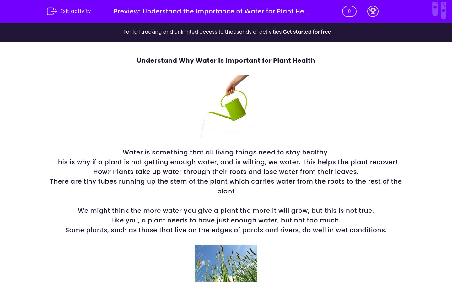 Find Out About Why Water is Important for Plants Worksheet - EdPlace