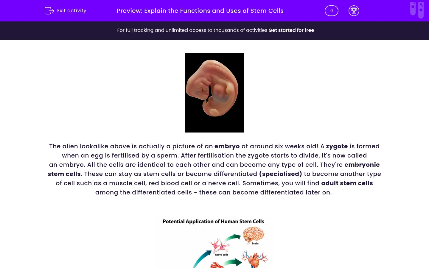 Explain the Functions and Uses of Stem Cells Worksheet - EdPlace