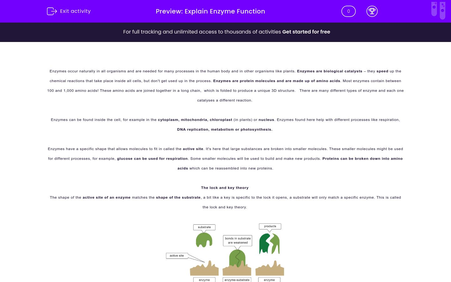 Explain Enzyme Function Worksheet - EdPlace
