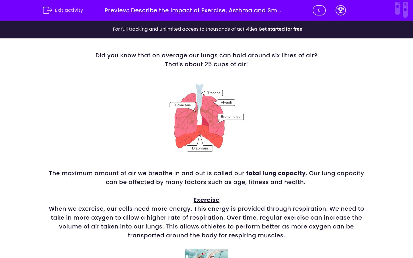 Describe the Impact of Exercise, Asthma and Smoking on the Gas Exchange ...
