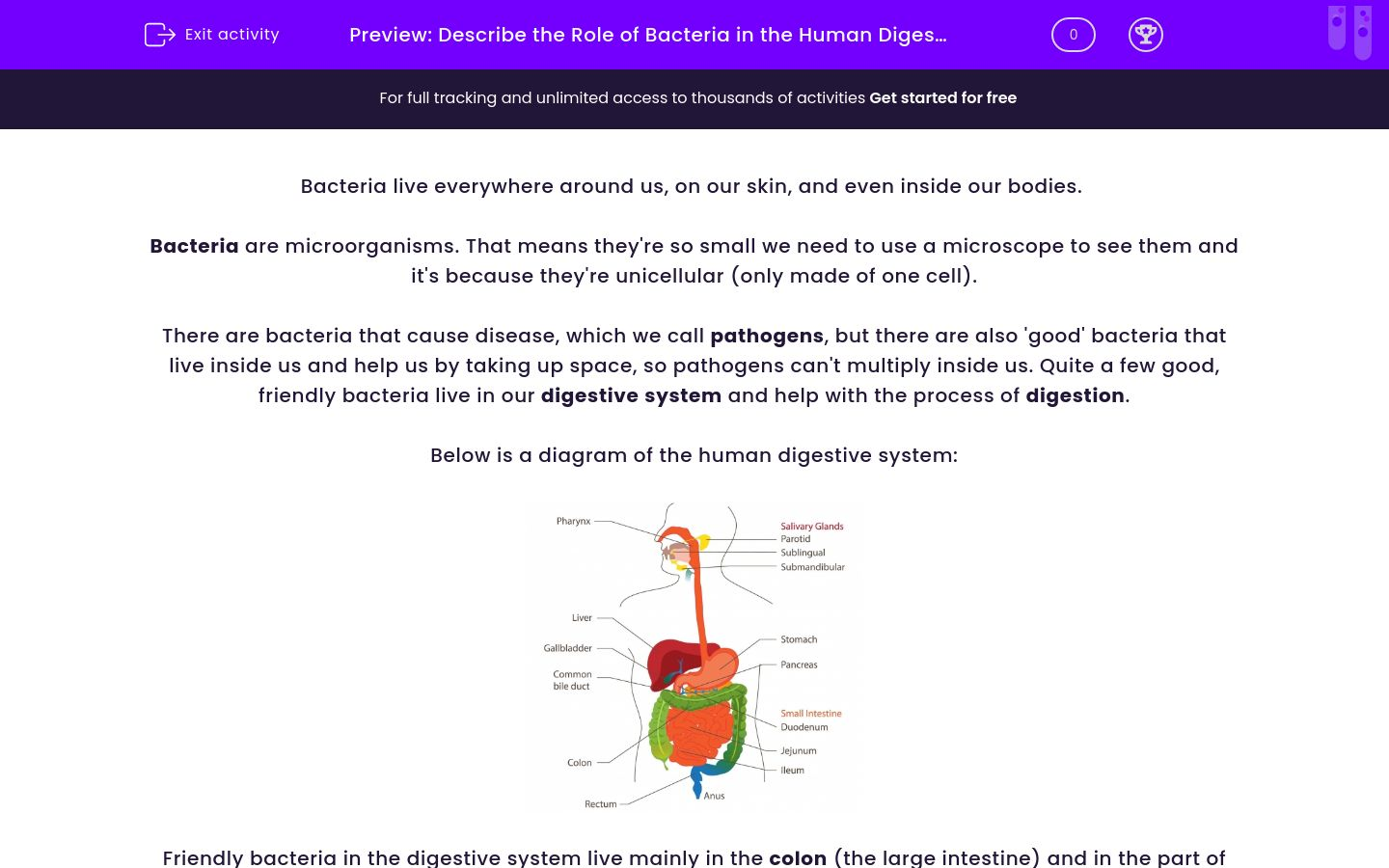 Describe the Role of Bacteria in the Human Digestive System Worksheet ...