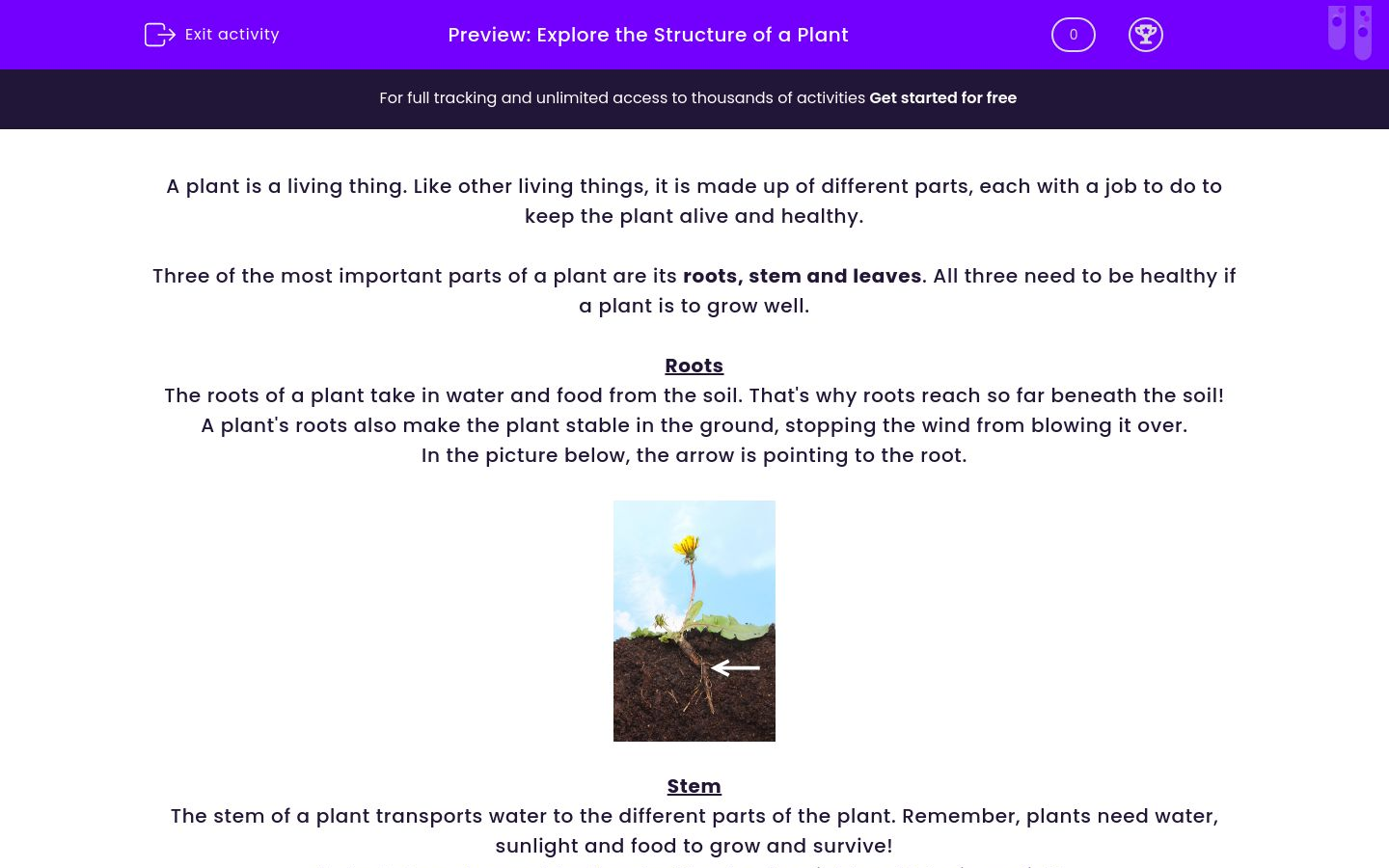 Explore the Structure of a Plant Worksheet - EdPlace