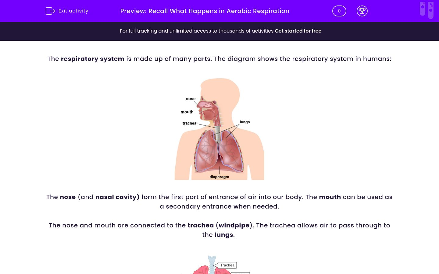 Recall What Happens in Aerobic Respiration Worksheet - EdPlace