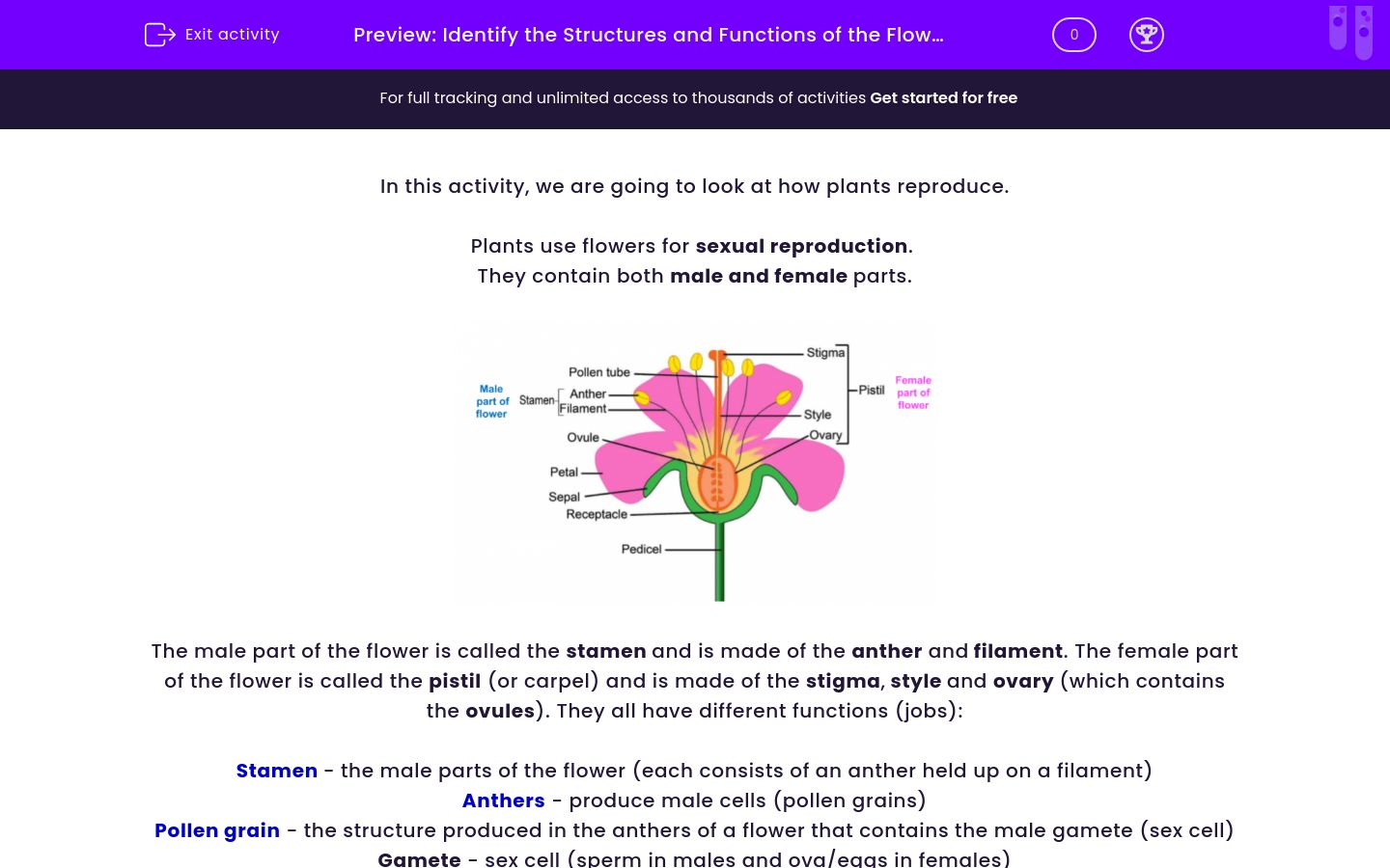 Identify the Structures and Functions of the Flowering Plant Worksheet ...