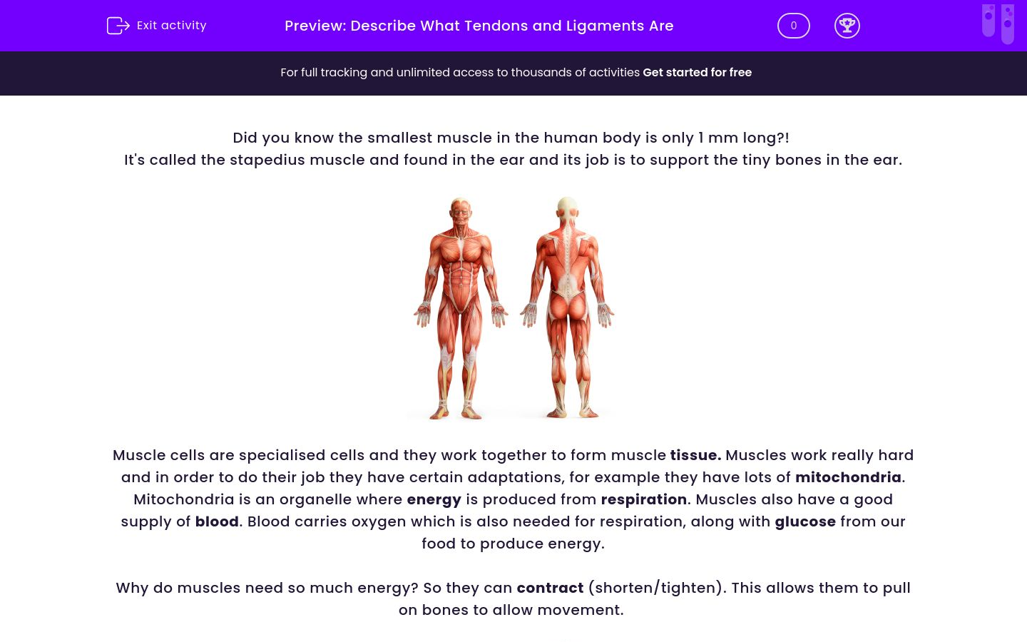 Describe What Tendons and Ligaments Are Worksheet - EdPlace