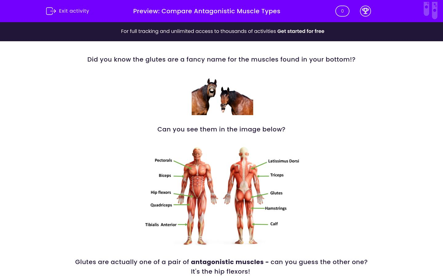 Compare Antagonistic Muscle Types Worksheet - EdPlace