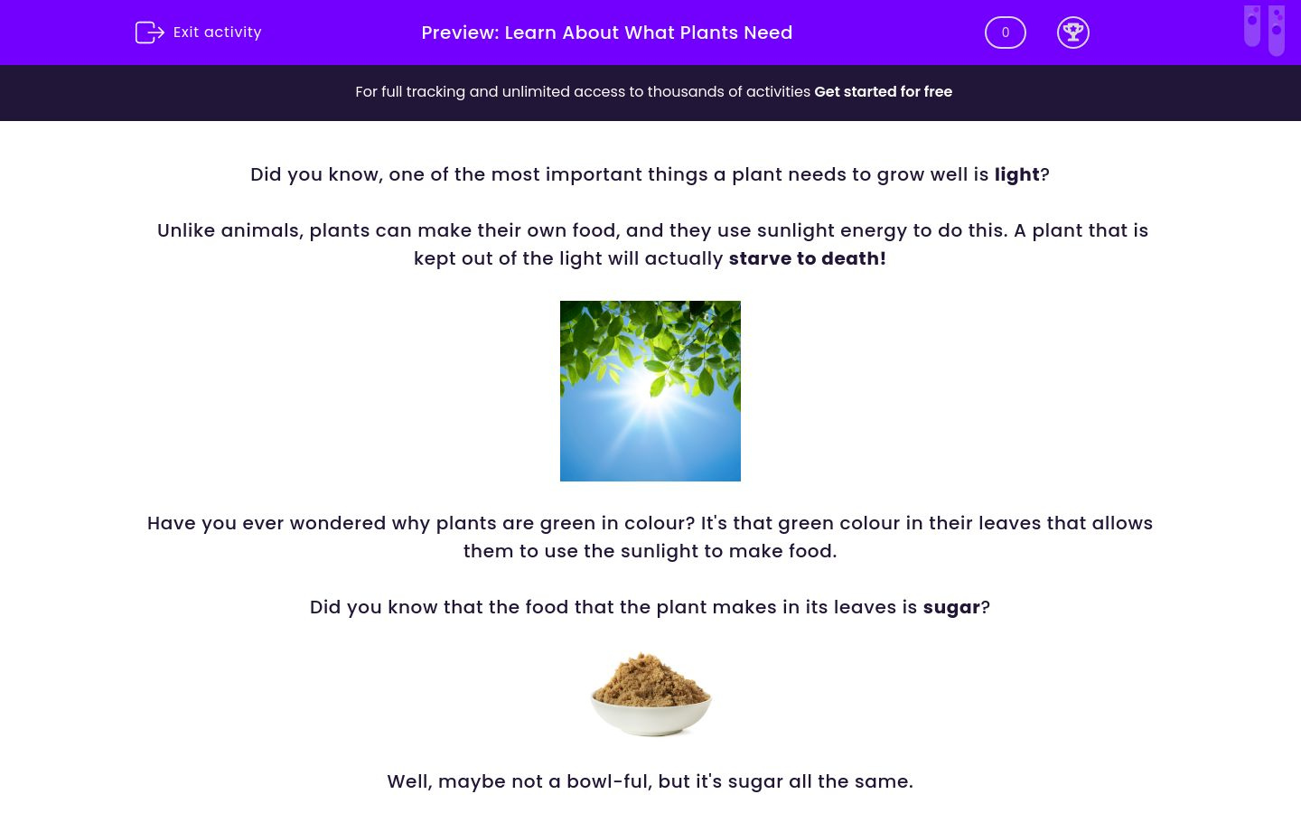 Learn About What Plants Need Worksheet - EdPlace