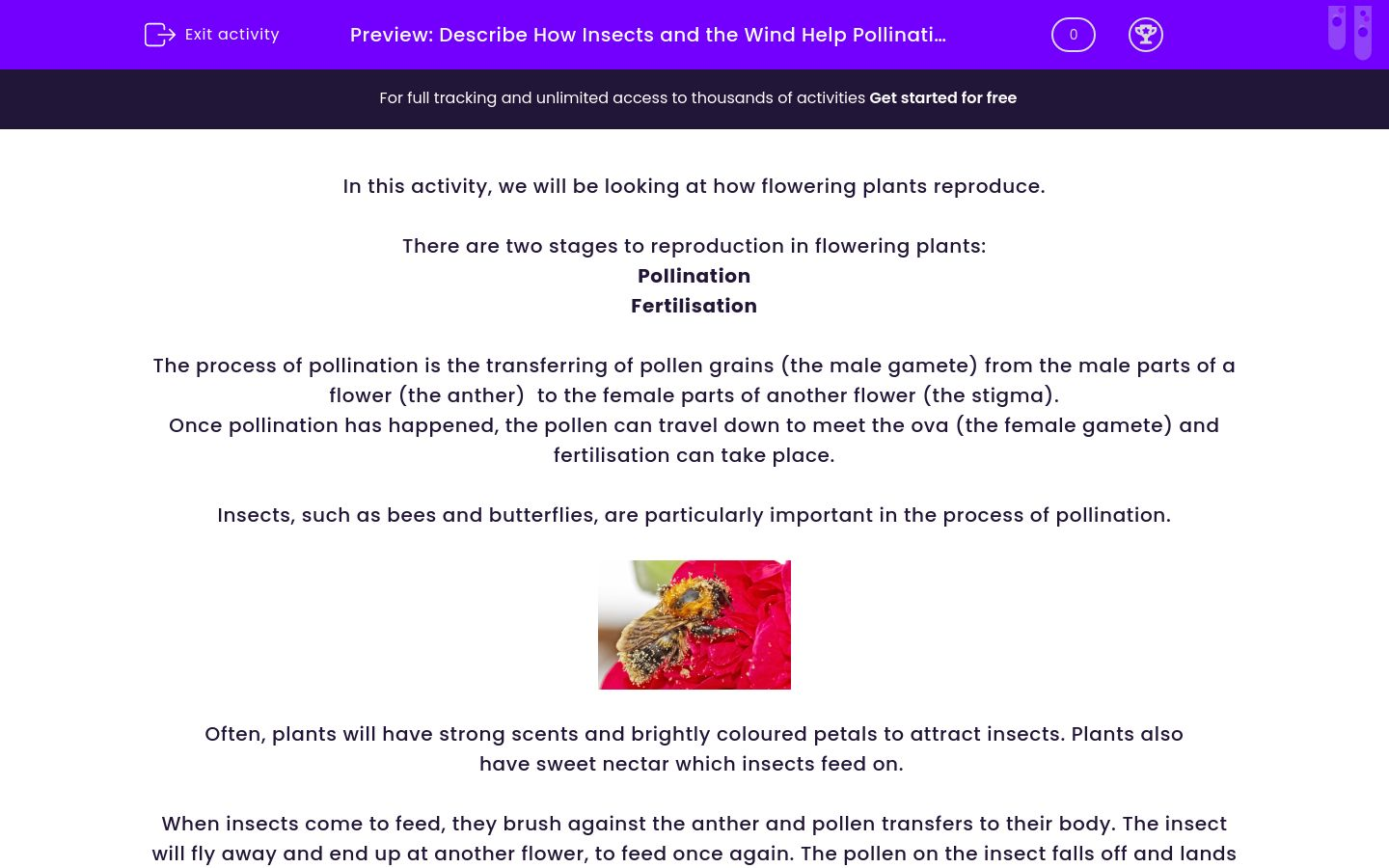 Describe How Insects and the Wind Help Pollination Worksheet - EdPlace