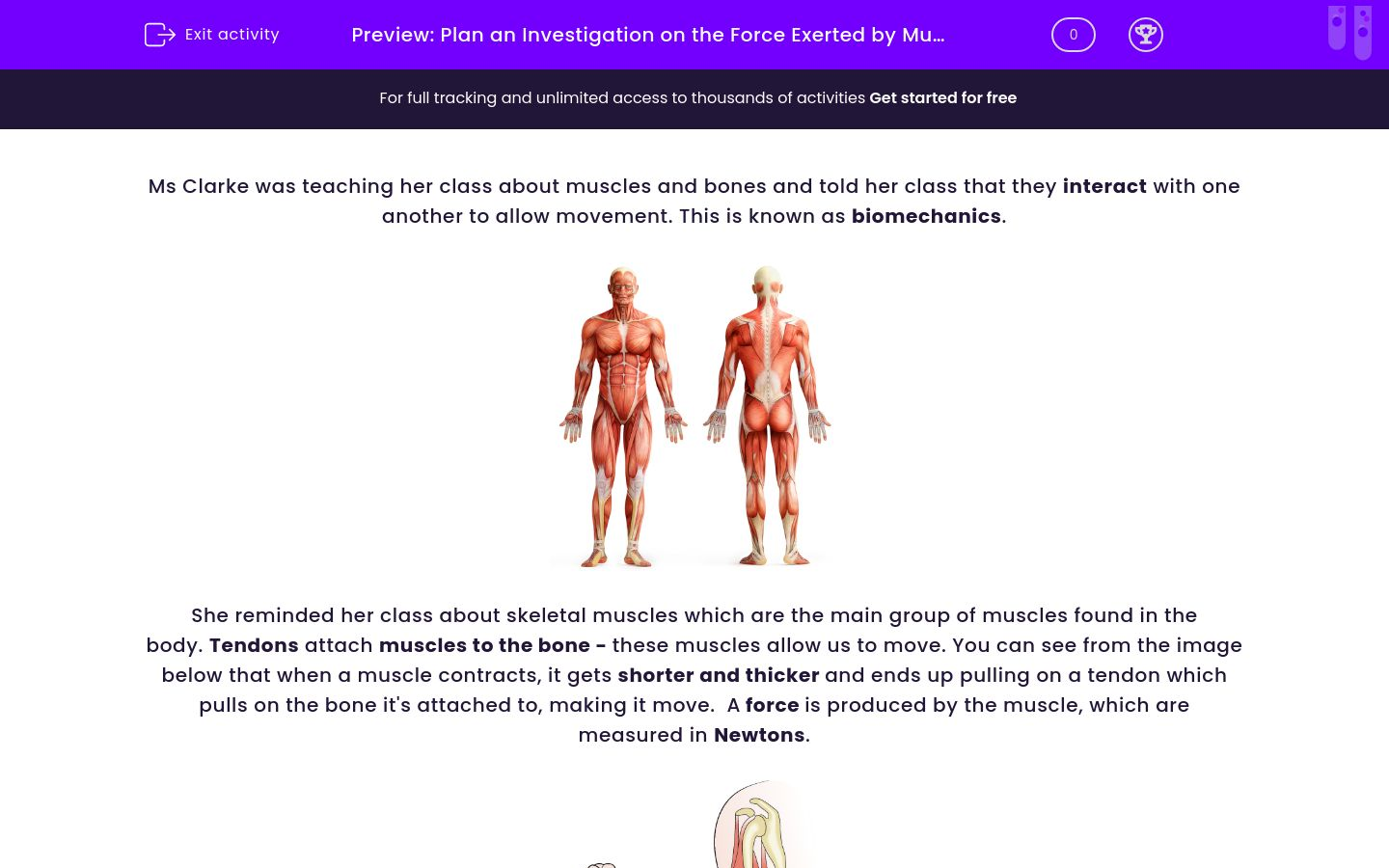 Plan an Investigation on the Force Exerted by Muscles Worksheet - EdPlace