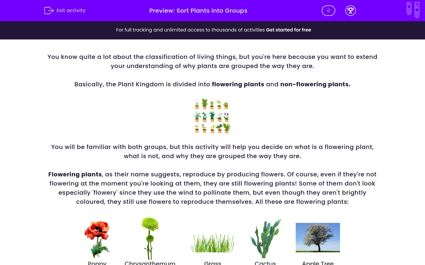 Sort Plants into Groups Worksheet - EdPlace