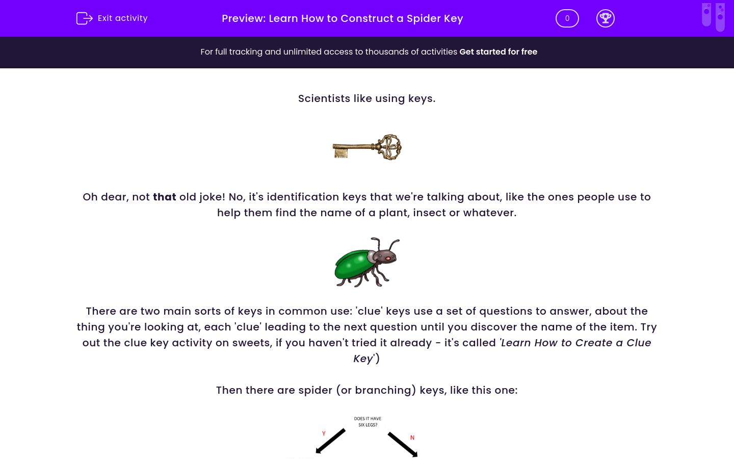 Learn How to Construct a Spider Key Worksheet - EdPlace