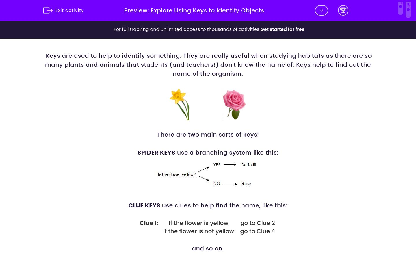 Explore Using Keys to Identify Objects Worksheet - EdPlace