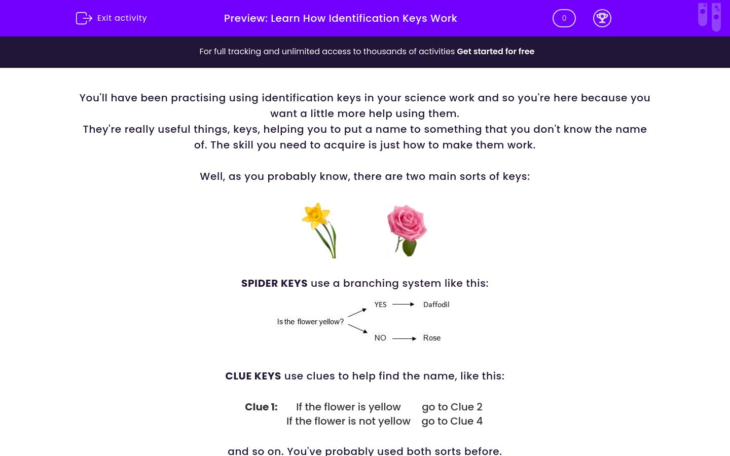 Learn How Identification Keys Work Worksheet - EdPlace