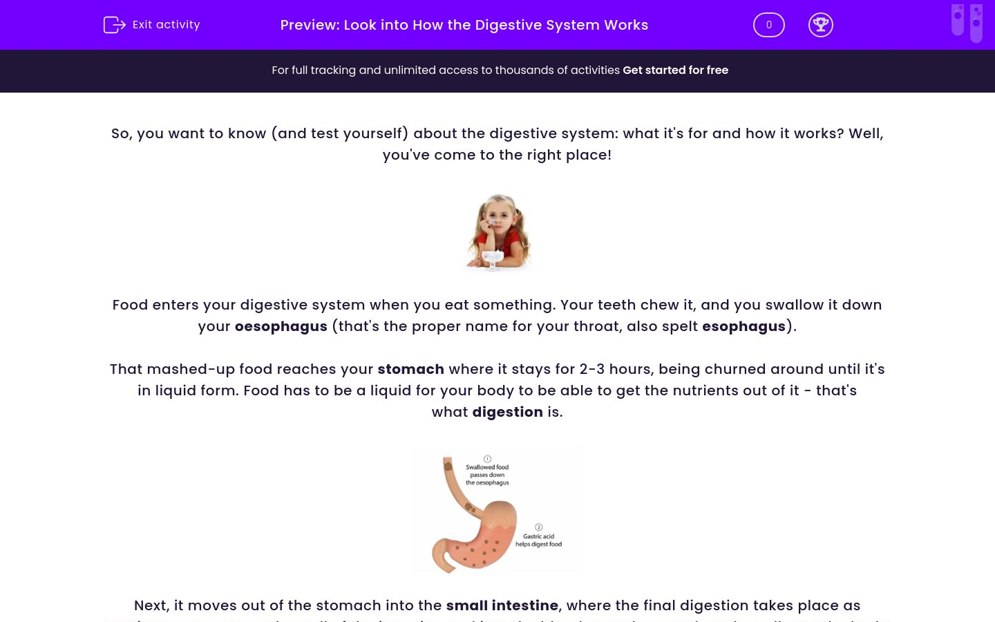 Look into How the Digestive System Works Worksheet - EdPlace