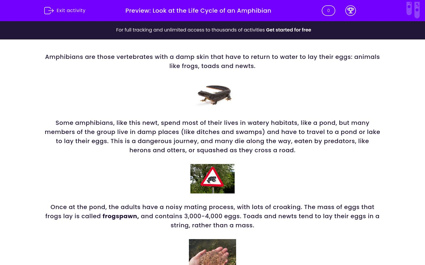 Look at the Life Cycle of an Amphibian Worksheet - EdPlace
