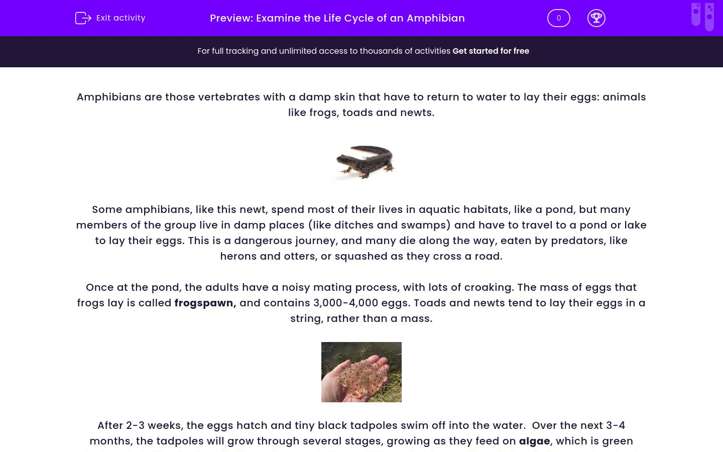 Examine the Life Cycle of an Amphibian Worksheet - EdPlace