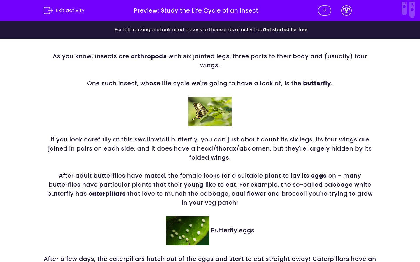 Study the Life Cycle of an Insect Worksheet - EdPlace