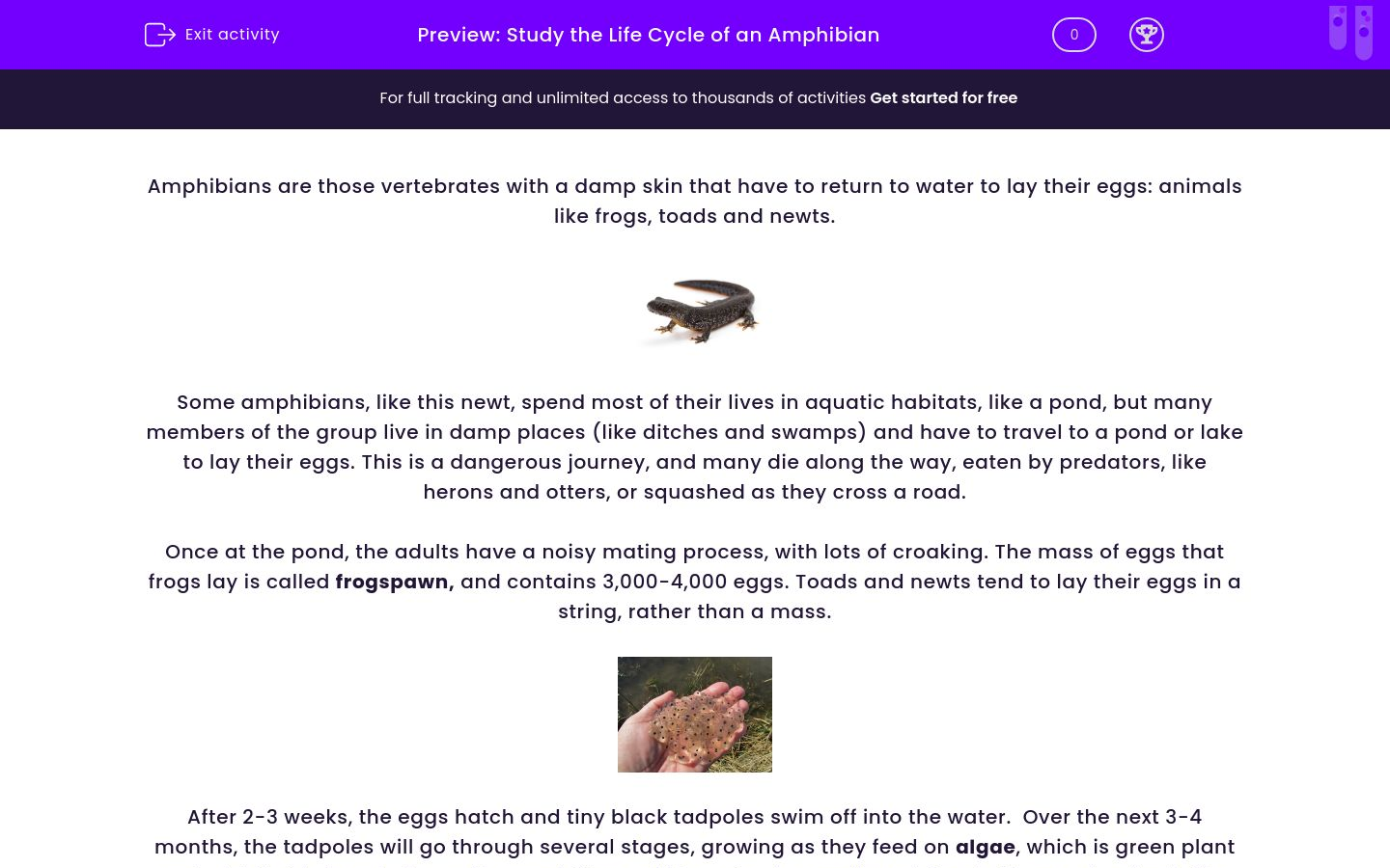 Study the Life Cycle of an Amphibian Worksheet - EdPlace