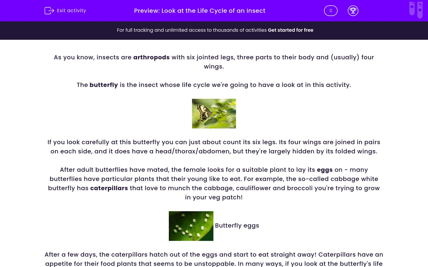 Look at the Life Cycle of an Insect Worksheet - EdPlace