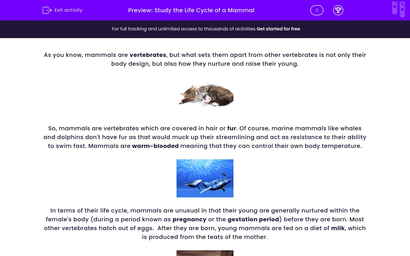 Study the Life Cycle of a Mammal Worksheet - EdPlace