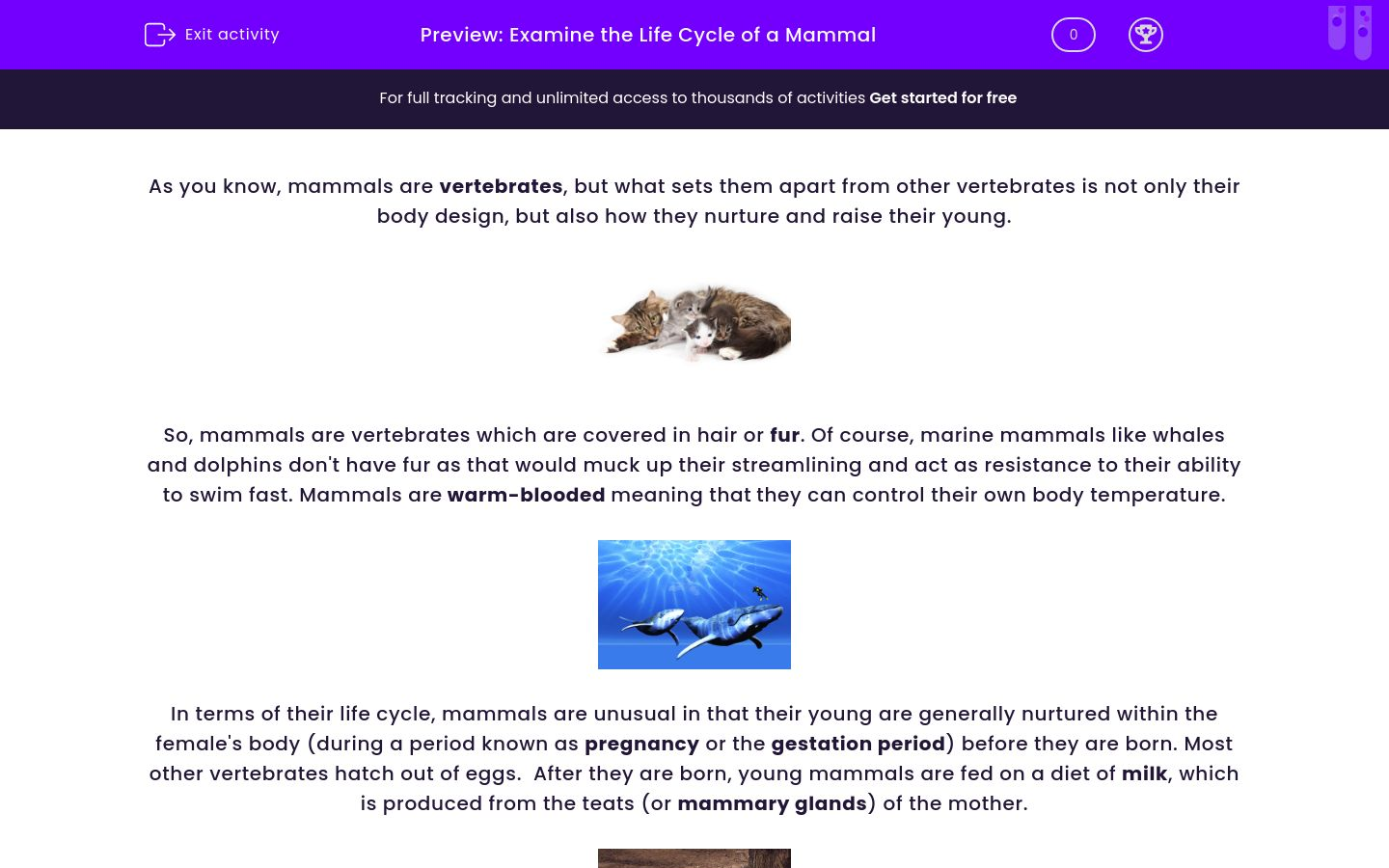 Examine the Life Cycle of a Mammal Worksheet - EdPlace