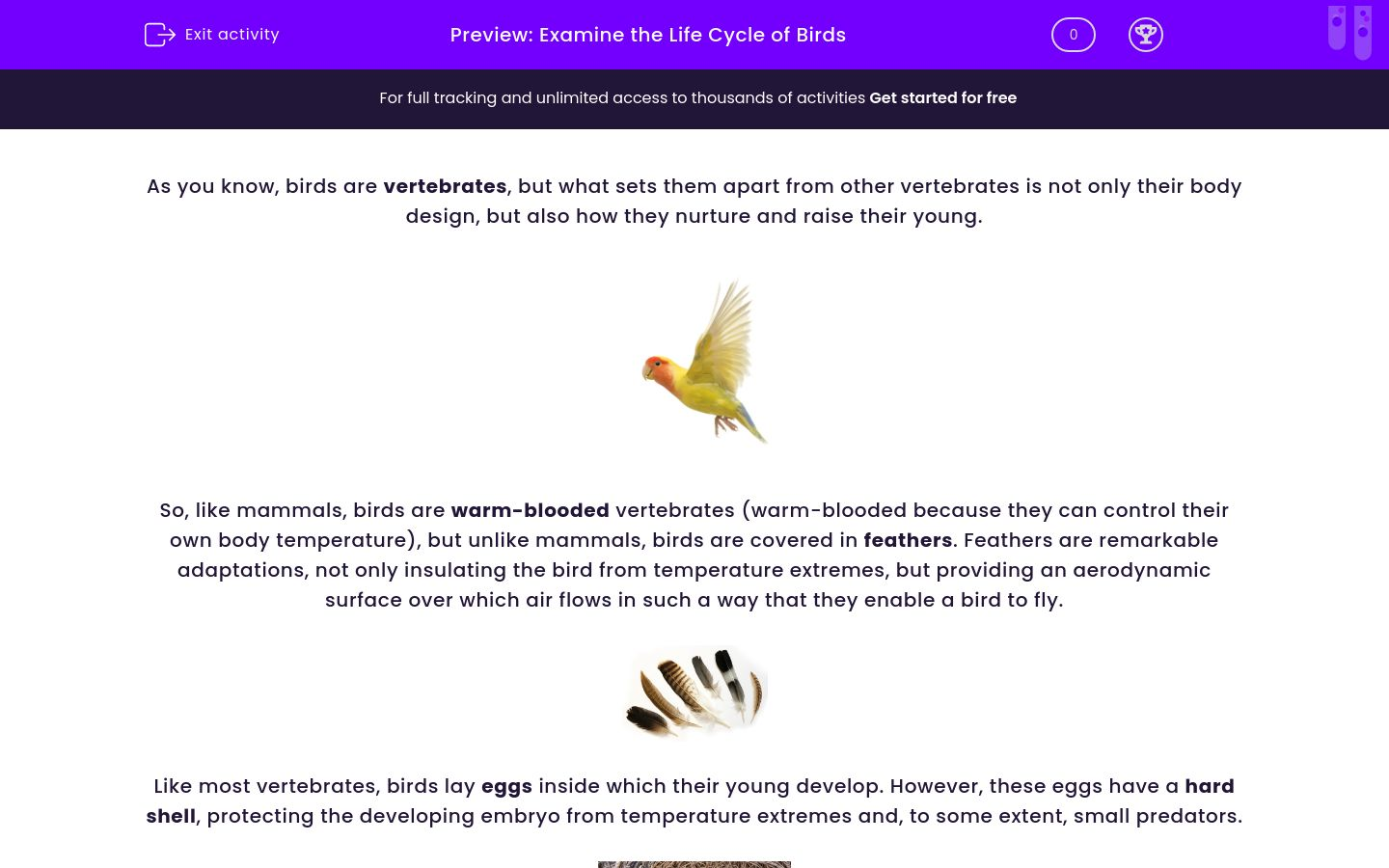 Examine the Life Cycle of Birds Worksheet - EdPlace