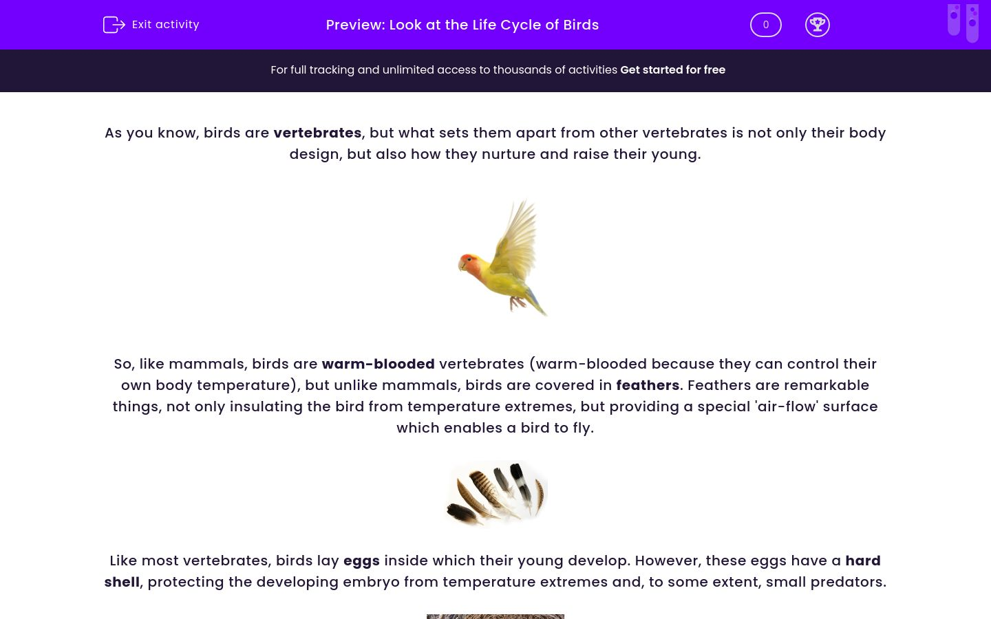 Look at the Life Cycle of Birds Worksheet - EdPlace