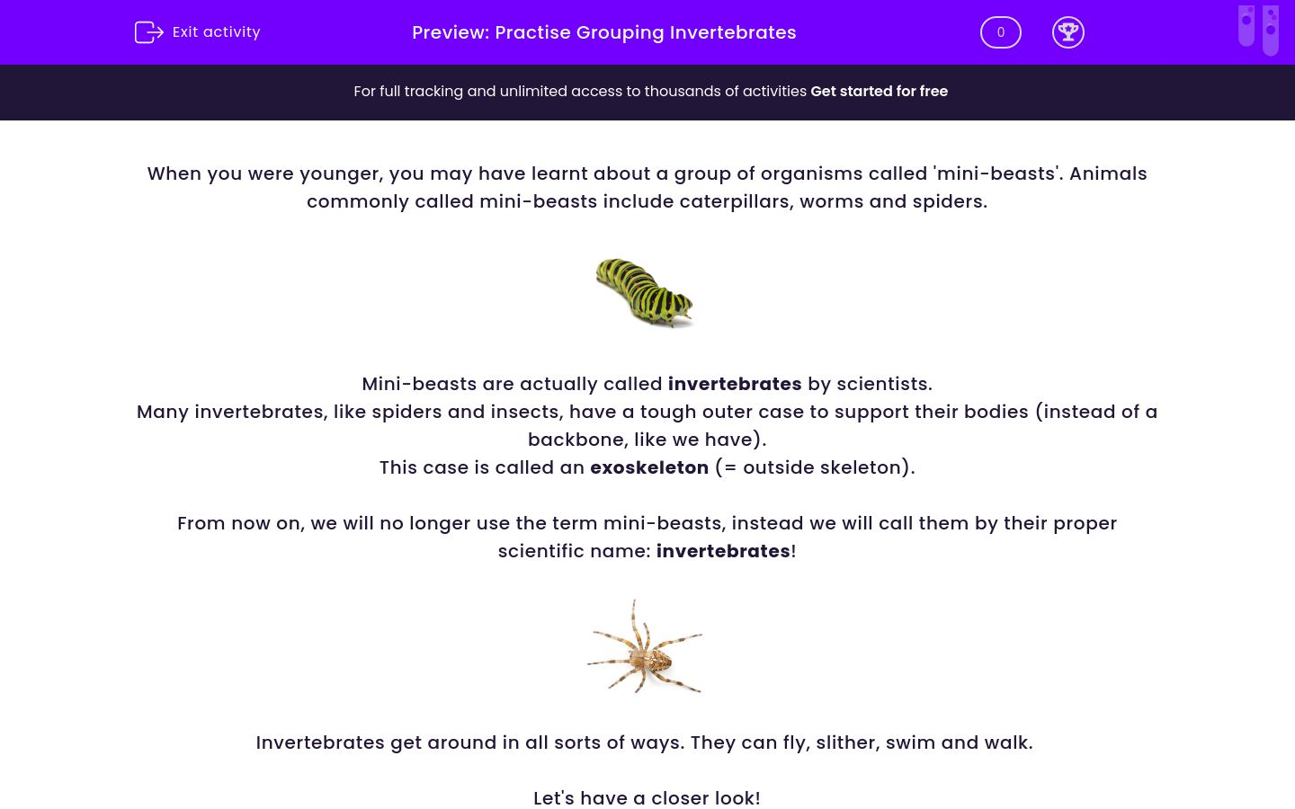 Practise Grouping Invertebrates Worksheet - EdPlace