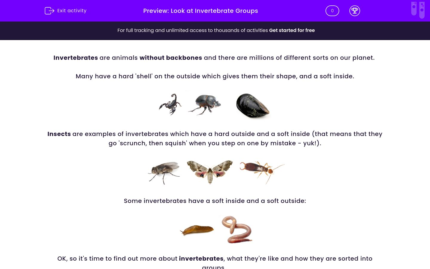 Look at Invertebrate Groups Worksheet - EdPlace