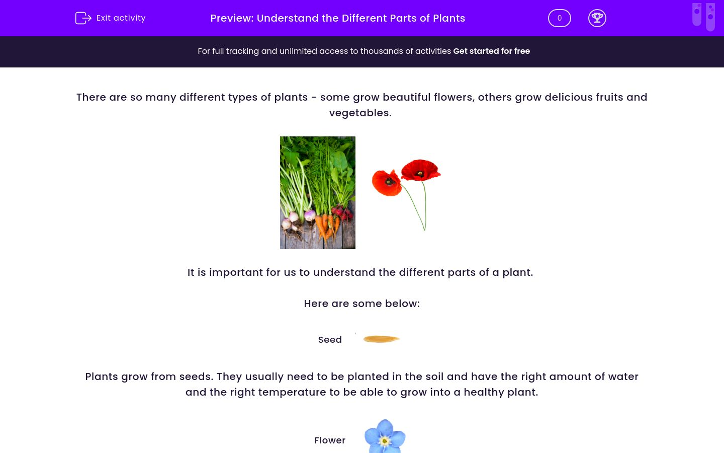 Understand the Different Parts of Plants Worksheet - EdPlace