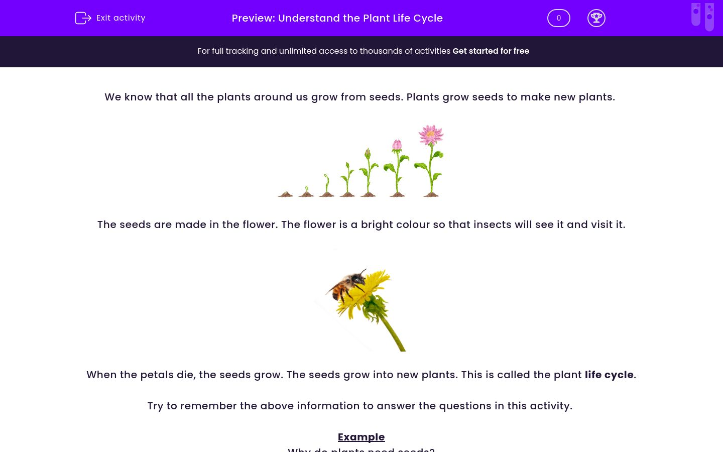 Understand the Plant Life Cycle Worksheet - EdPlace