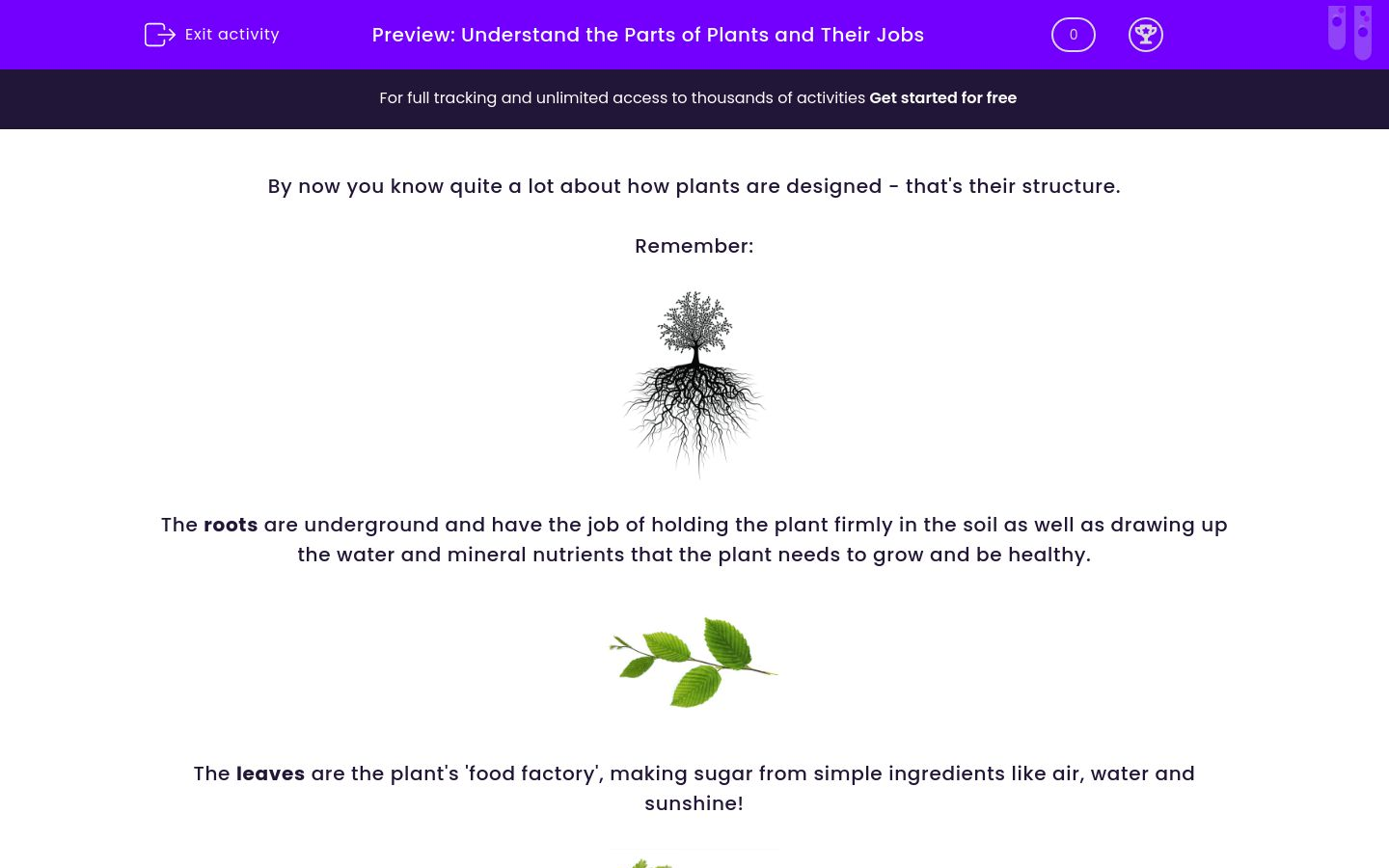 Understand the Parts of Plants and Their Jobs Worksheet - EdPlace