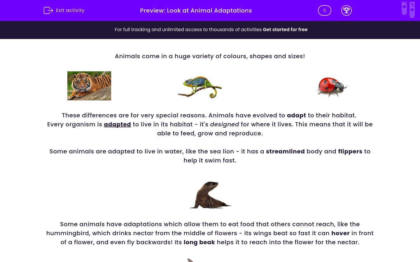Look at Animal Adaptations Worksheet - EdPlace