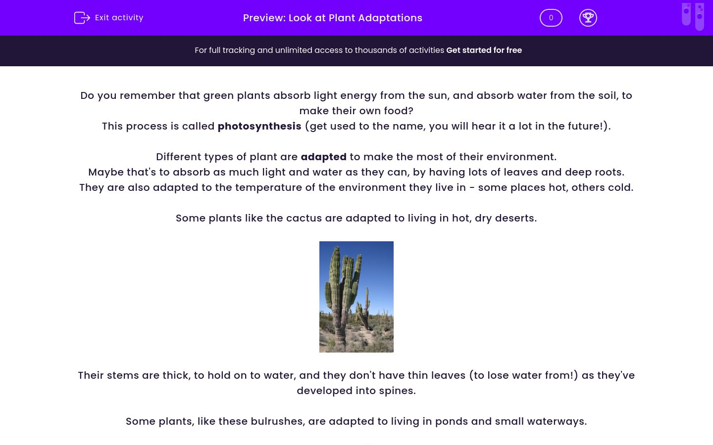 Look at Plant Adaptations Worksheet - EdPlace