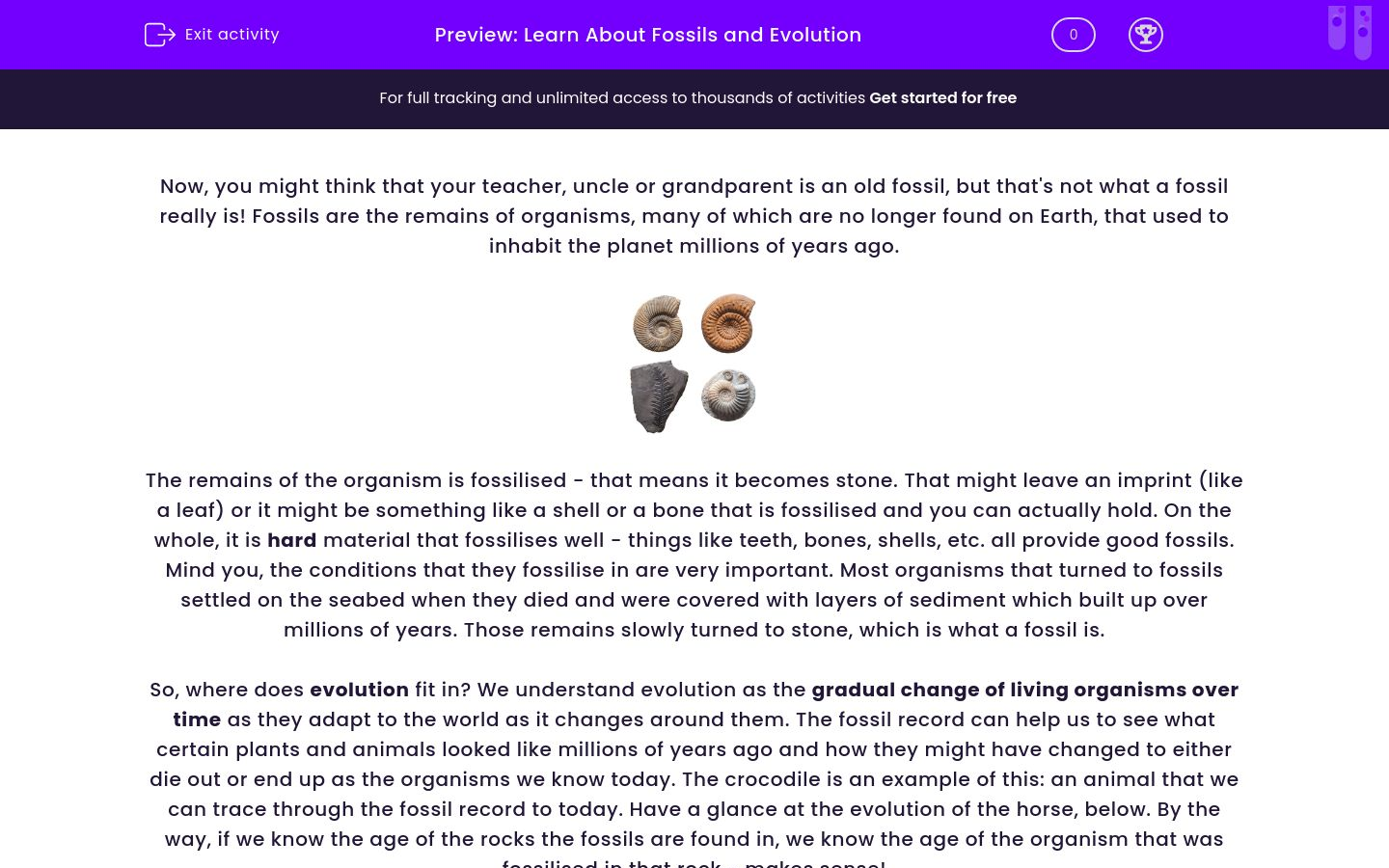Learn About Fossils and Evolution Worksheet - EdPlace