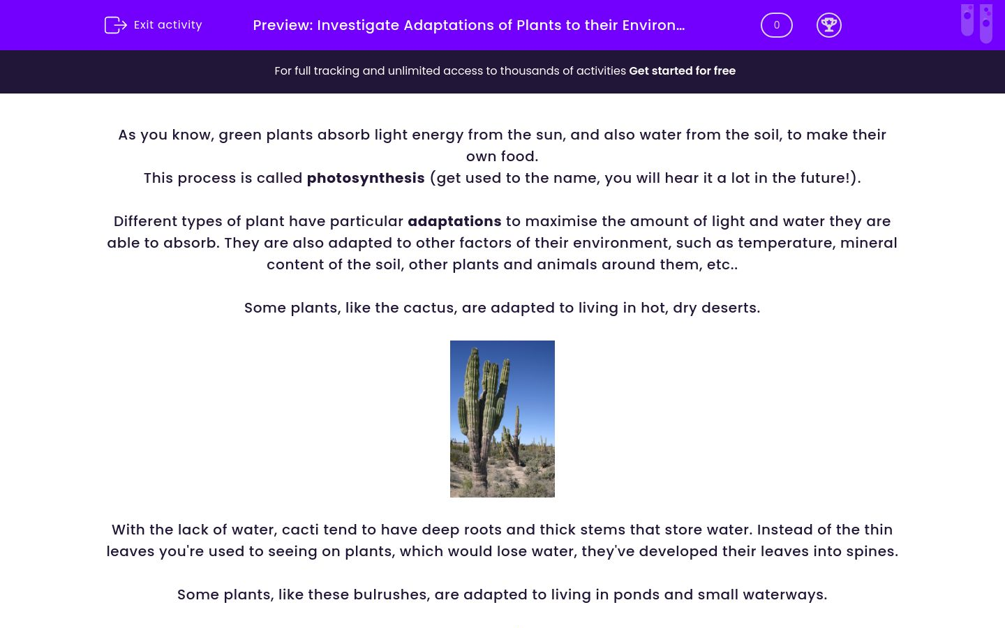Investigate Adaptations of Plants to their Environment Worksheet - EdPlace