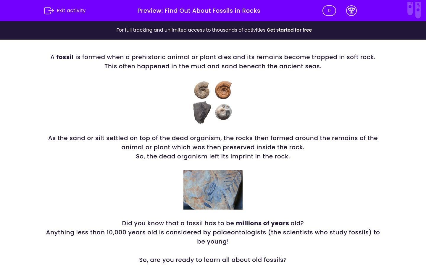 Find Out About Fossils in Rocks Worksheet - EdPlace