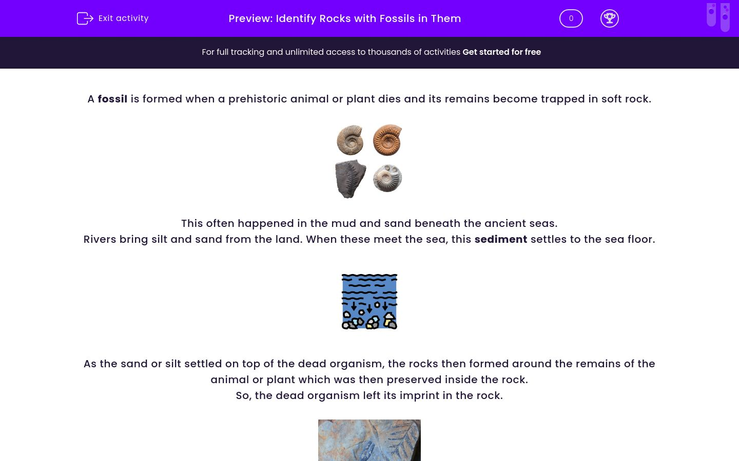 Identify Rocks with Fossils in Them Worksheet - EdPlace