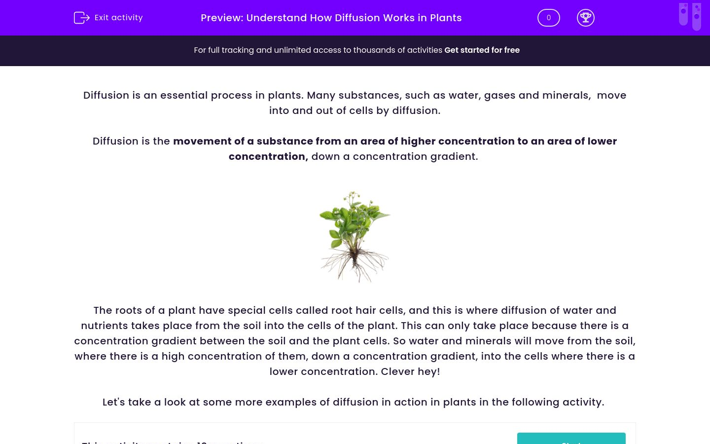 Understand How Diffusion Works in Plants Worksheet - EdPlace