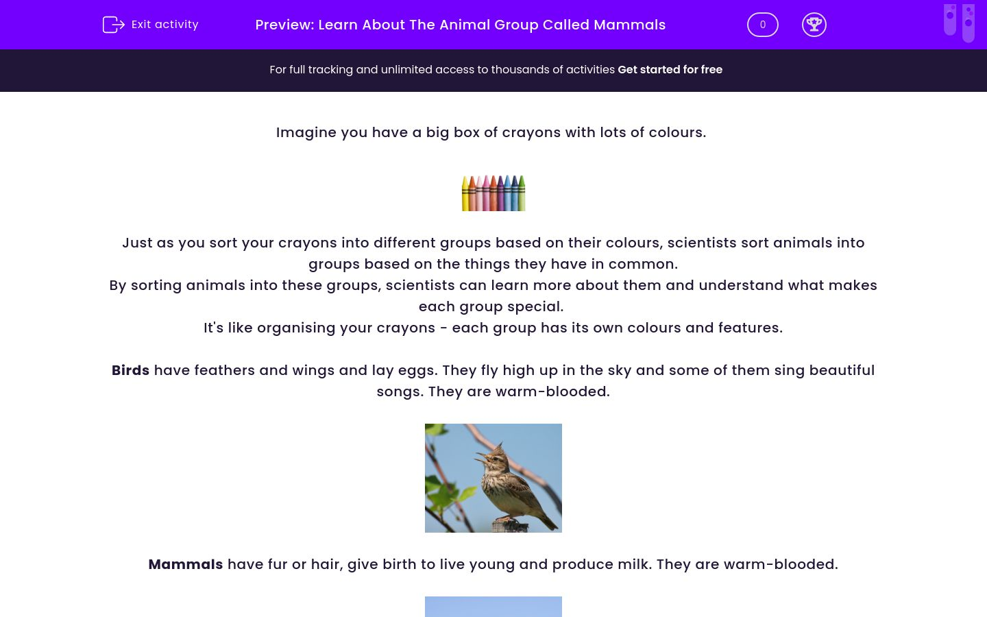 Learn About The Animal Group Called Mammals Worksheet - EdPlace