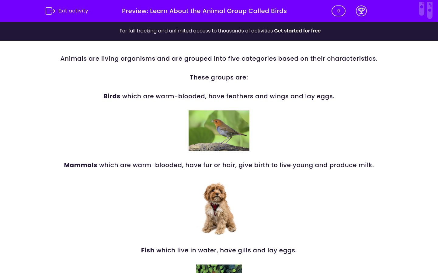 Learn About the Animal Group Called Birds Worksheet - EdPlace